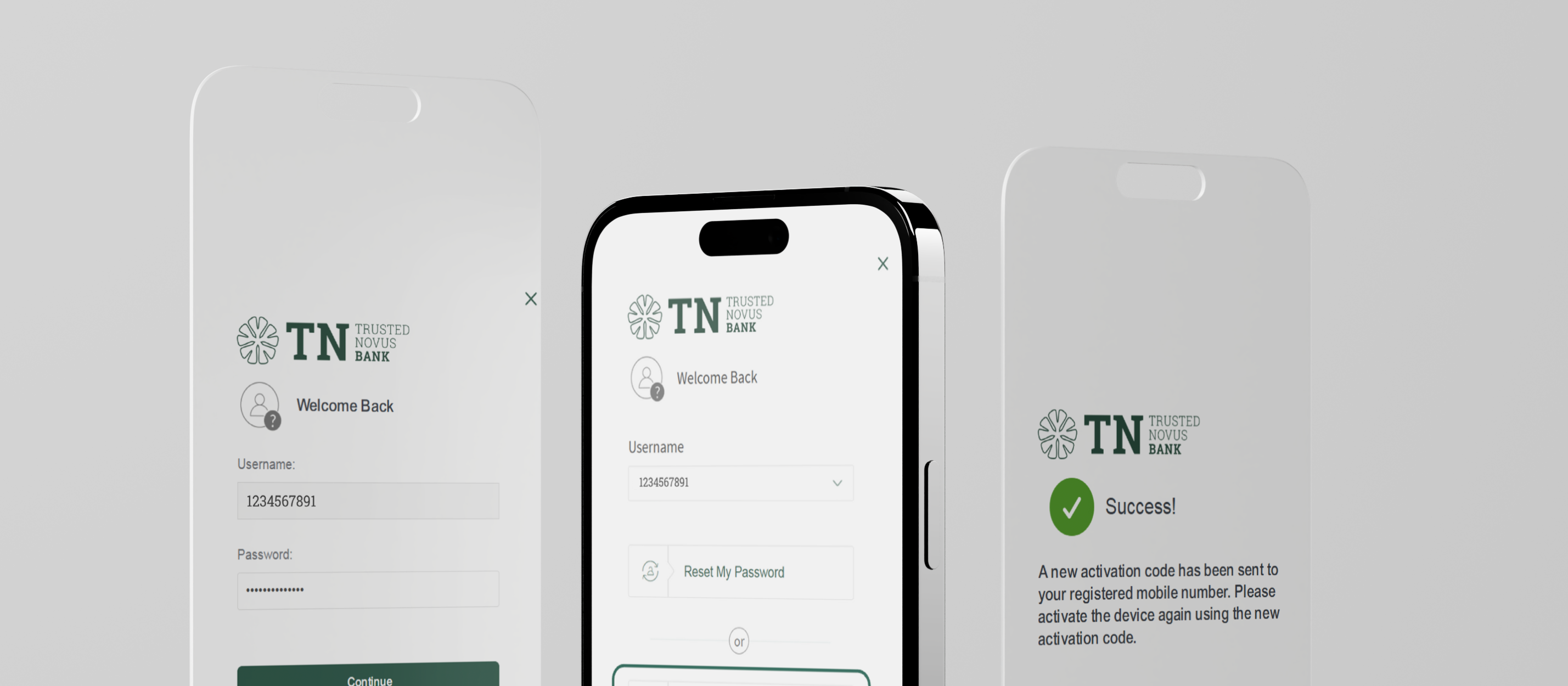 New Banking System - Userguides